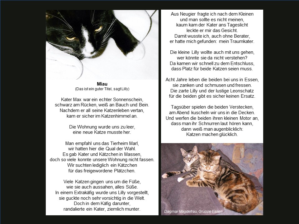 (13) Miau - ein Gedicht